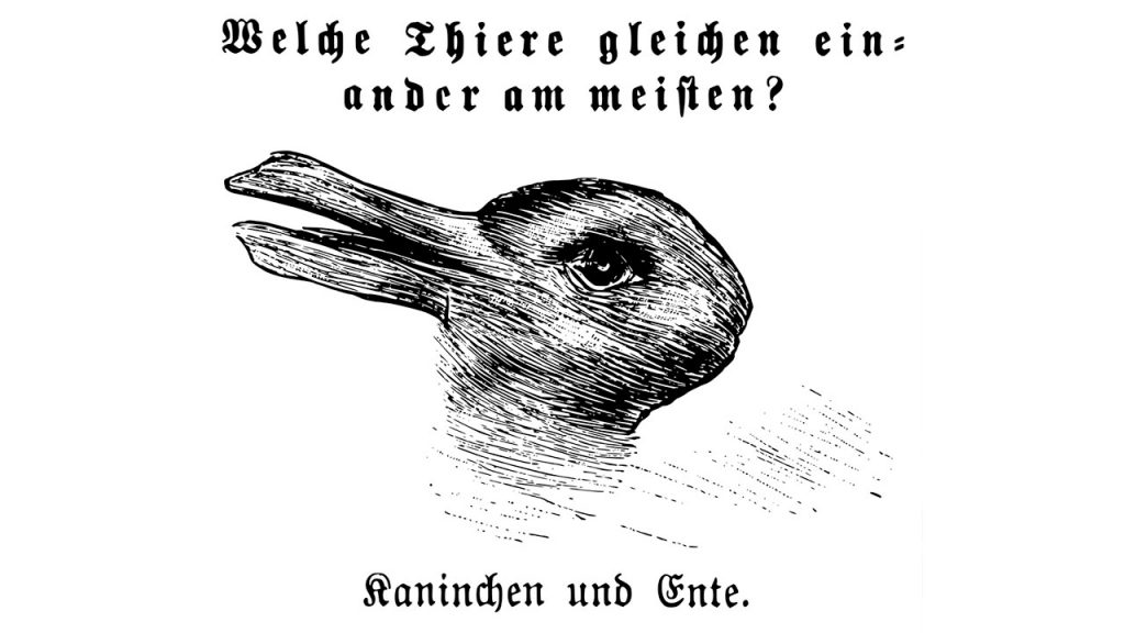 Is it a duck or a rabbit (Per ardua surgo)? (Aspect Seeing)